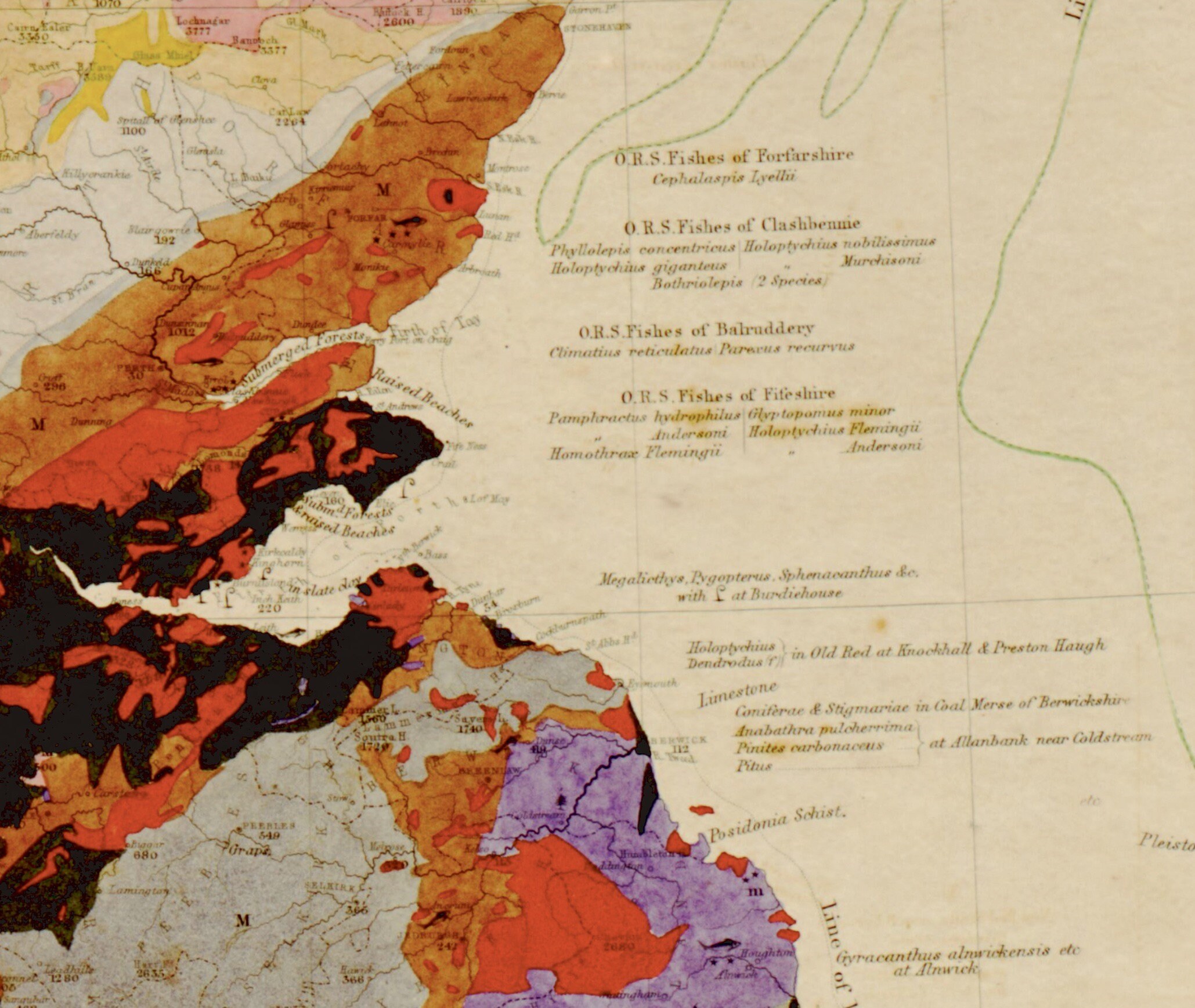 Palaeontological Map of the British Islands Antique Reproduction ...