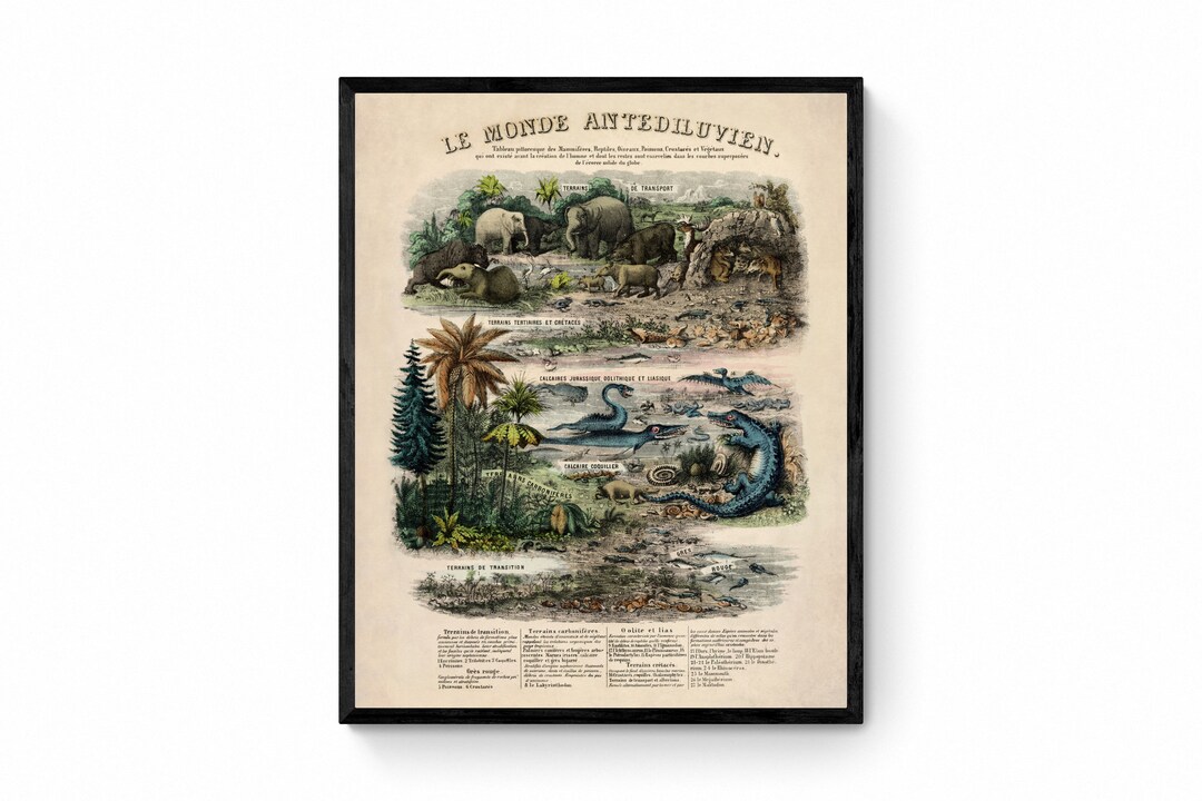 The Antediluvian World - Antique Reproduction - Palaentology - Fossil ...