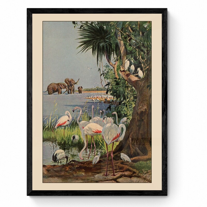 Flamingo & Elephant - Etsy UK
