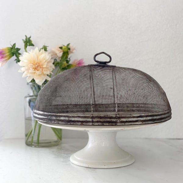 Wire Cloche - Etsy