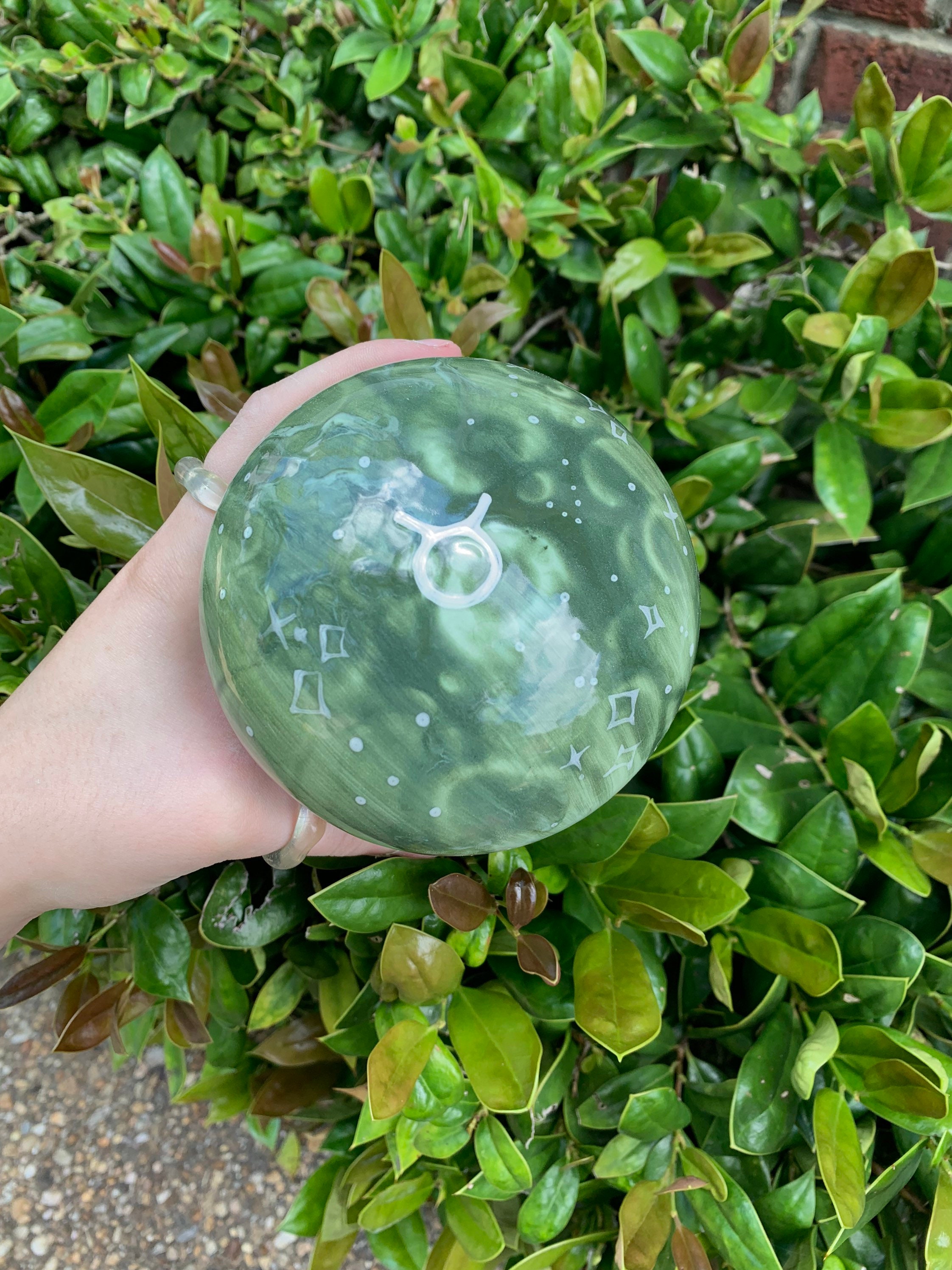 Taurus Wizard Frog Mushroom House - Etsy