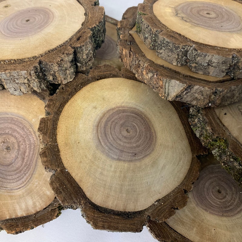 Tree Branch Slices - Etsy