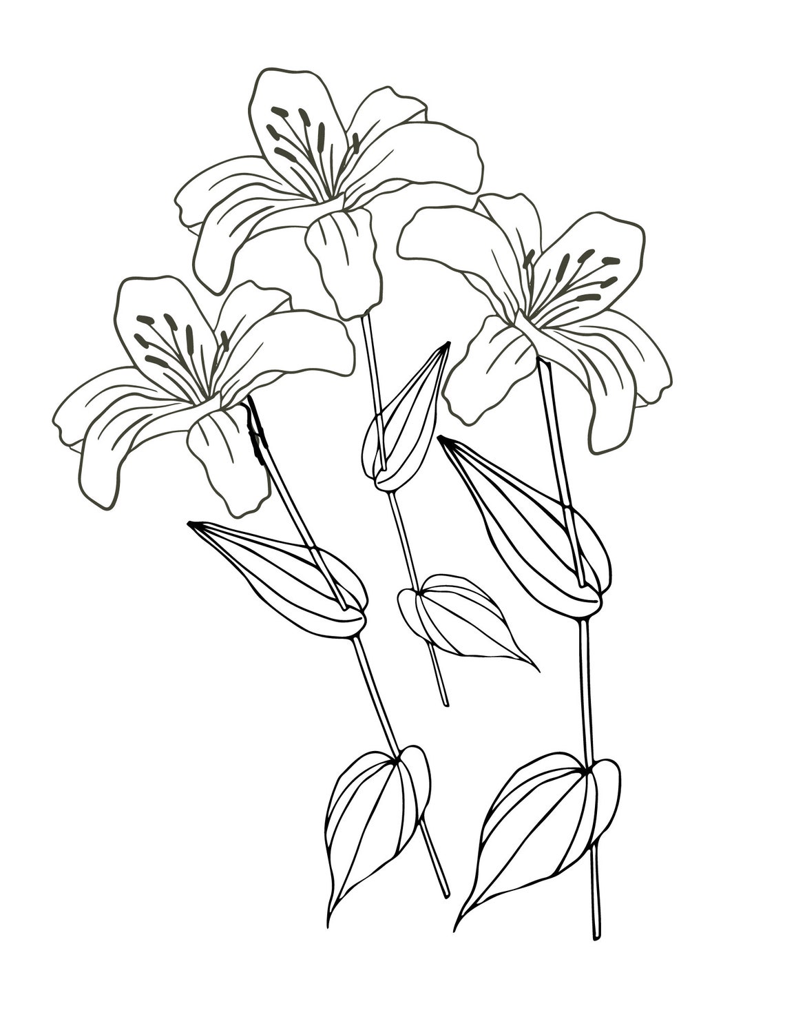 Spring Coloring Page - Etsy