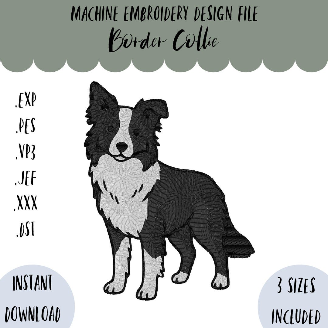 Border Collie Dog Standing Embroidery Design for Machine (digital ...