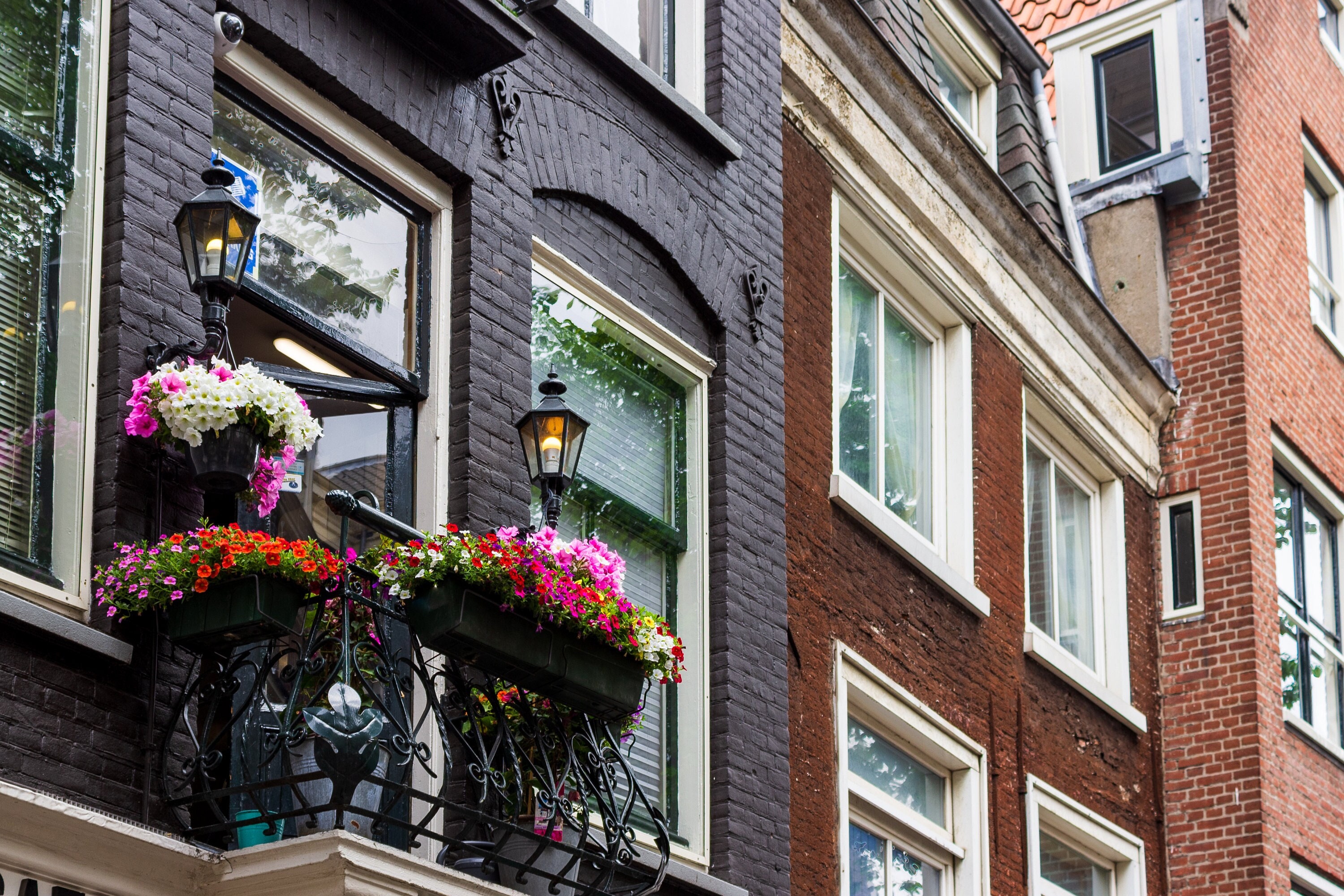 Wrought Iron Railed Balcony Window Boxes Amsterdam NL Urban Setting ...