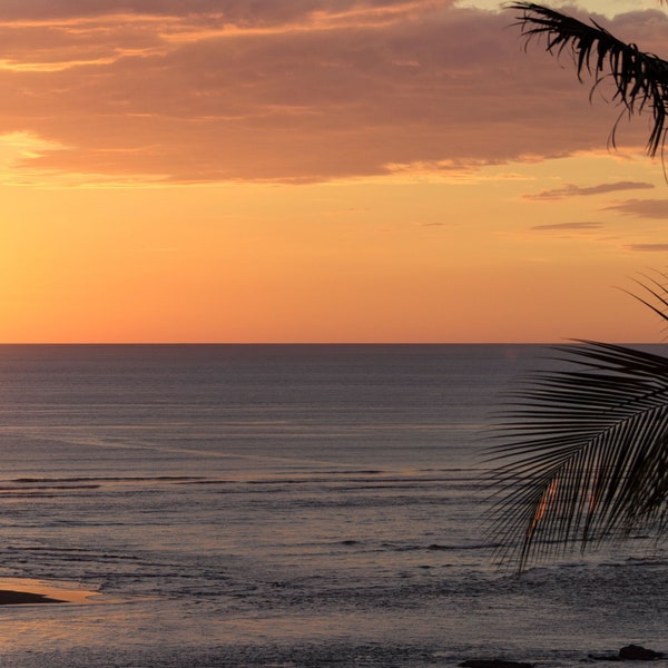 16x20 Canvas Art - Etsy