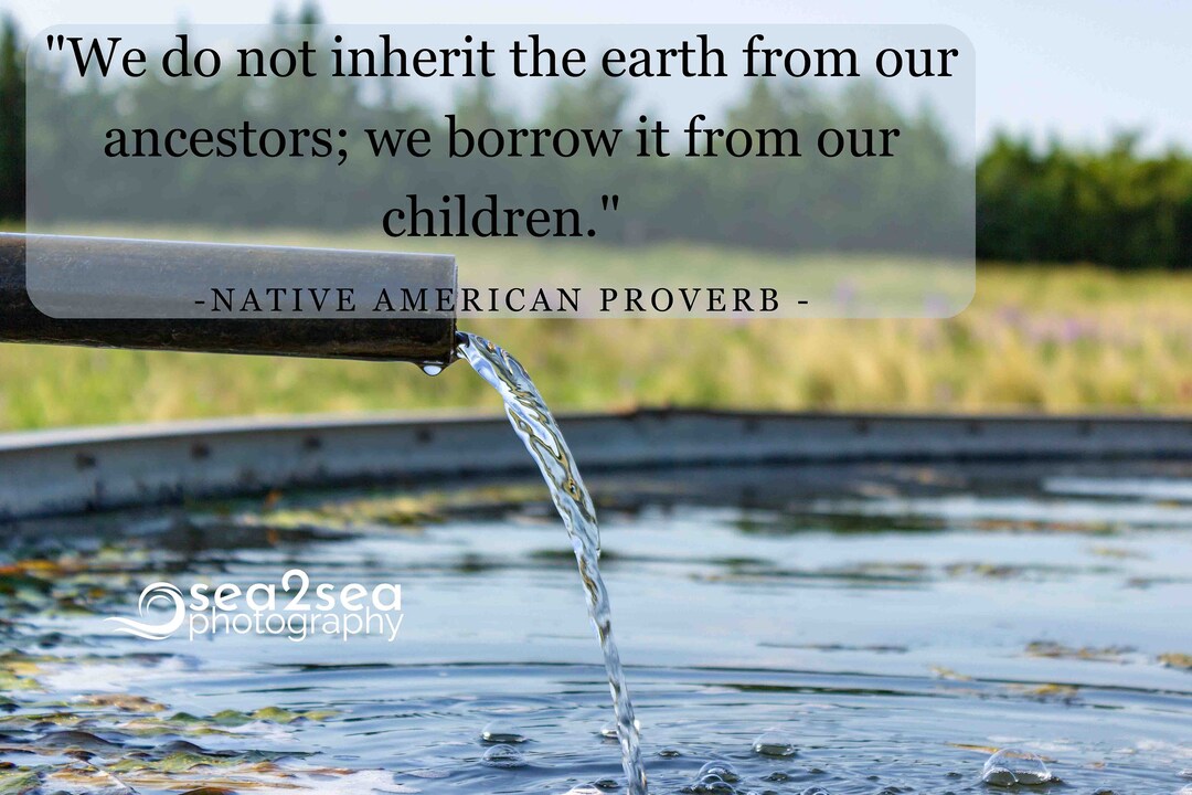 Sacred Waters: Native American Wisdom on Clean Water - Art Print - Etsy