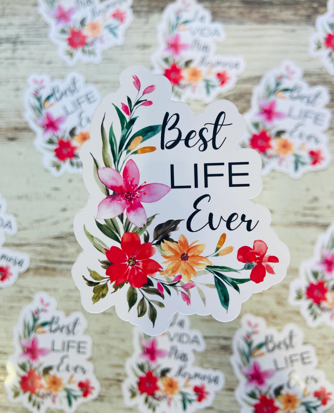 Best Life Ever Sticker / JW Stickers / Pioneer Gifts / JW Spanish ...