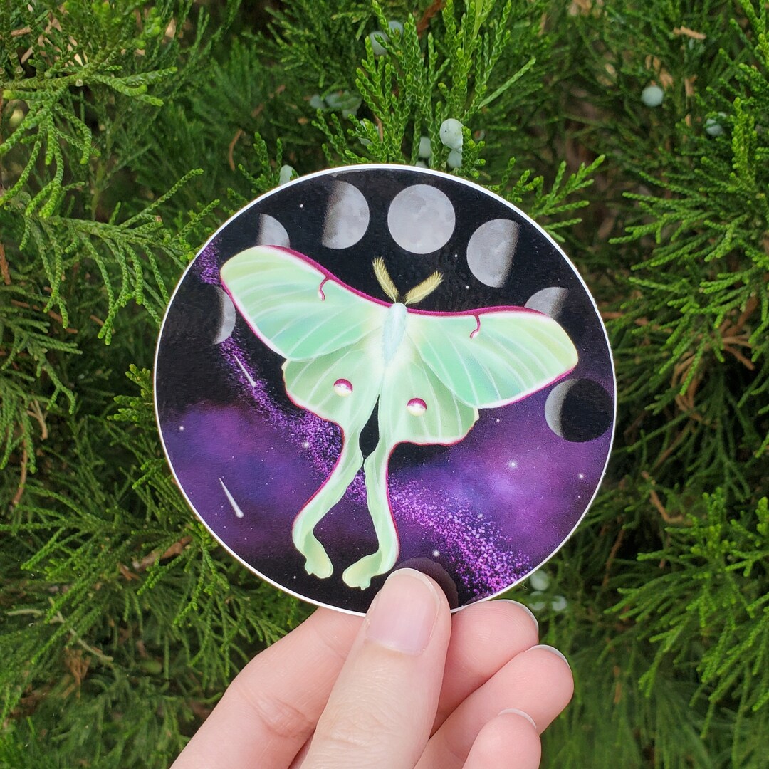 Nebula Galaxy Luna Moth Vinyl Sticker - Etsy