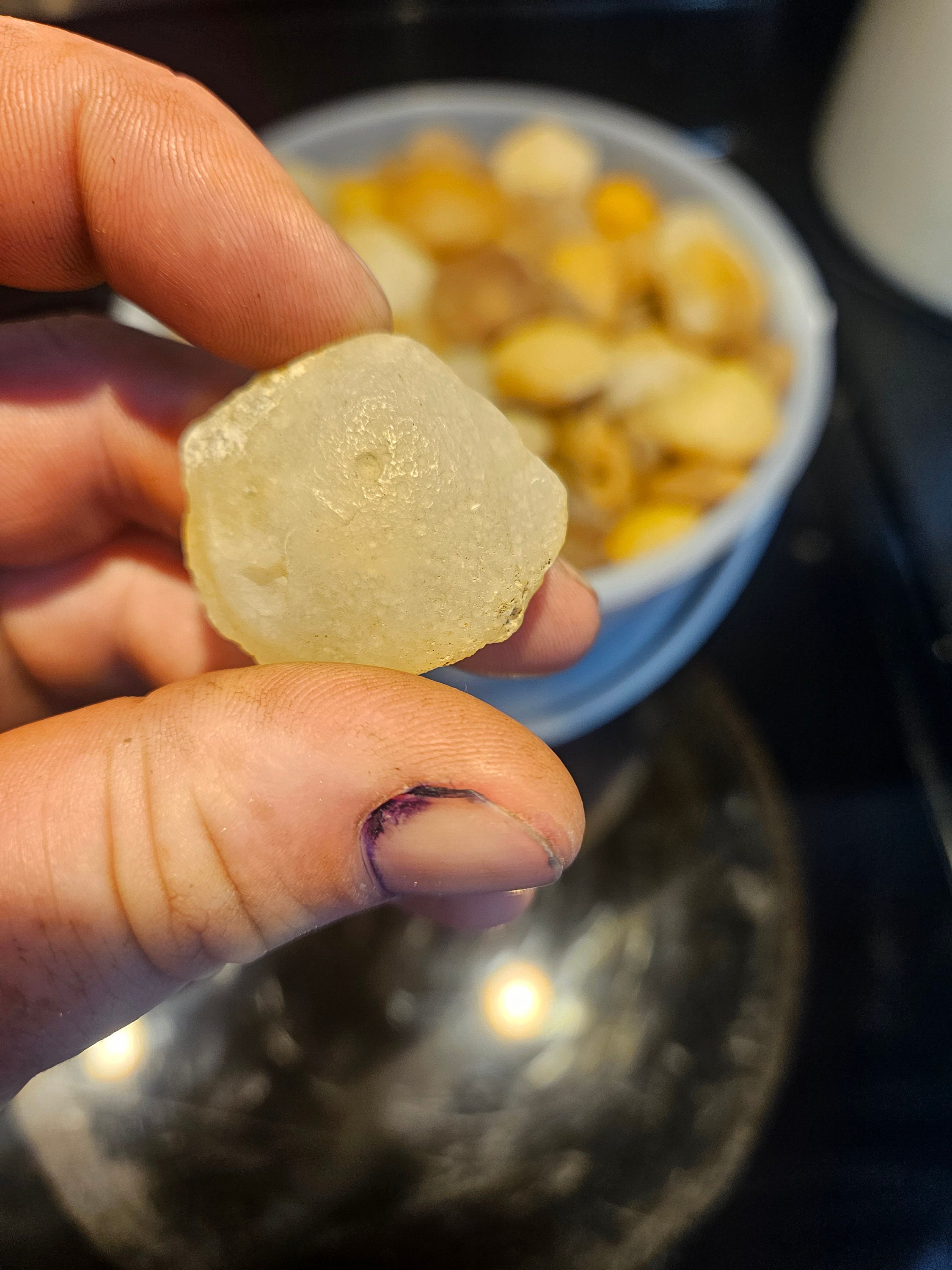 Agatized Clams From Washington State 10 Clams - Etsy