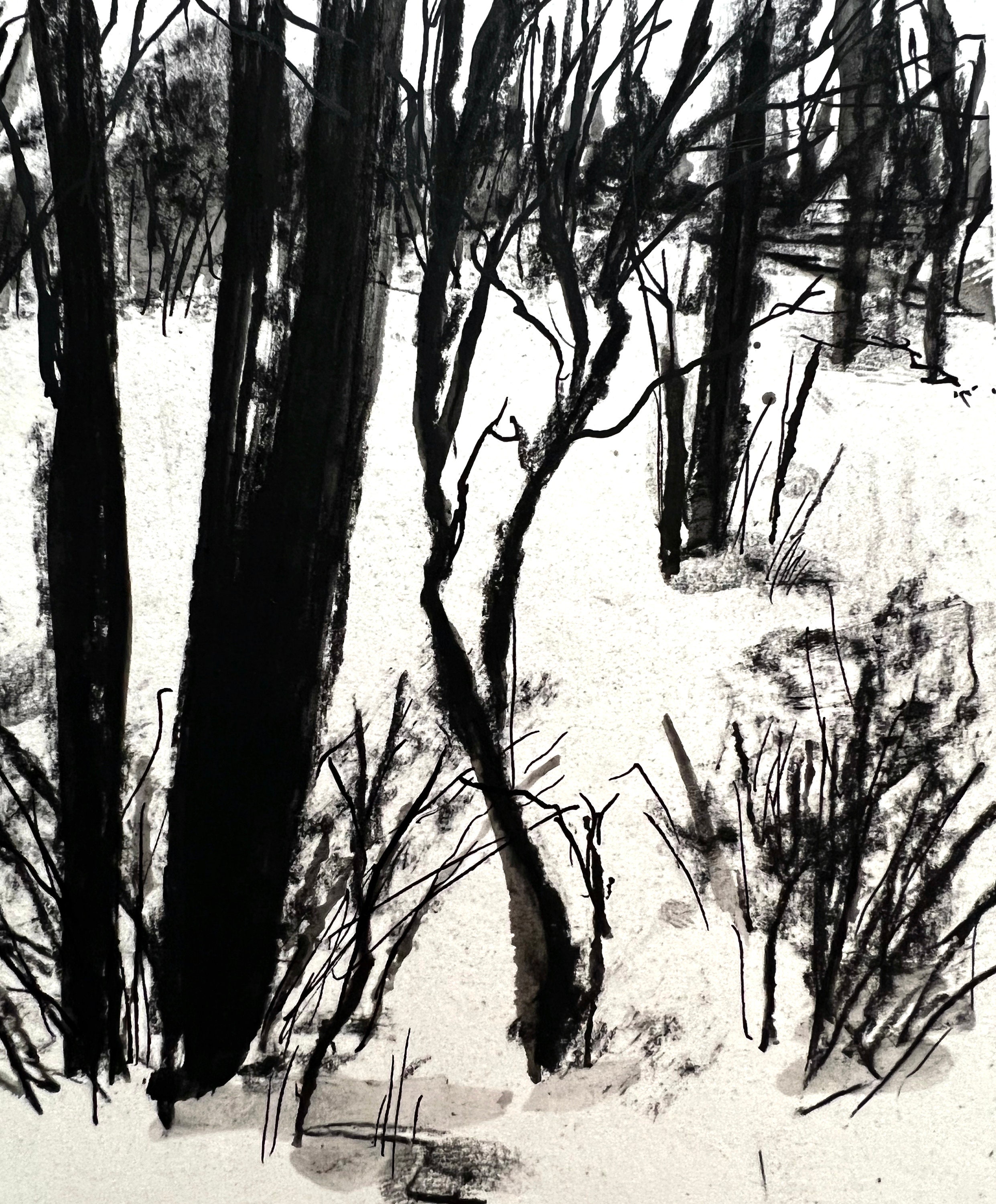 Black, Snowy River. Original 11.5x11 Ink and Charcoal Landscape Drawing ...