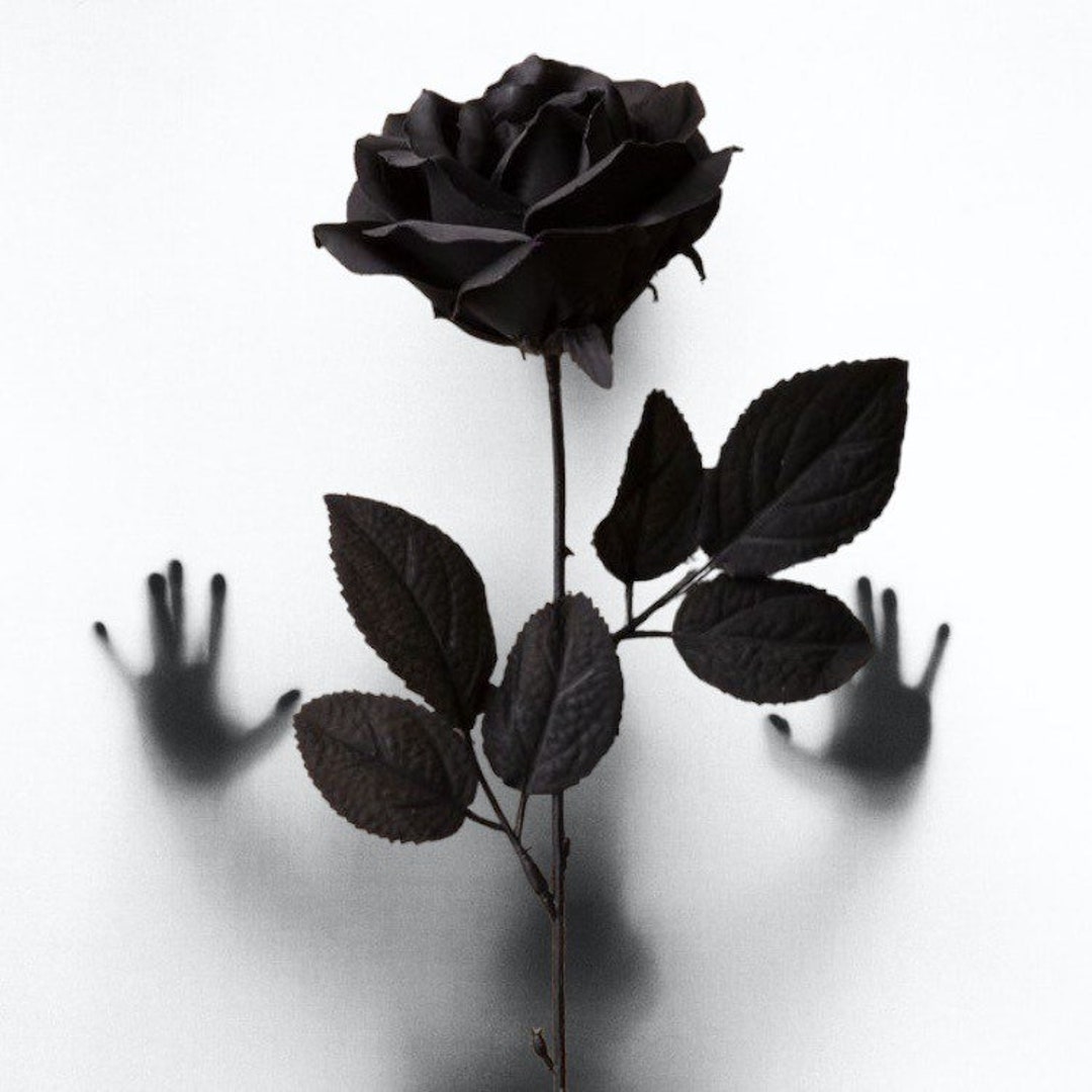 Hand Crafted Luxury Set of Black Synthetic Rose Halloween Roses Halogen ...