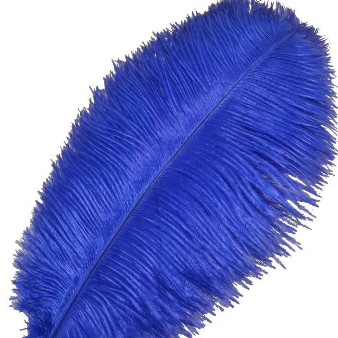 Royal Navy Blue Ostrich Feathers / Large Light Blue Feathers - Etsy