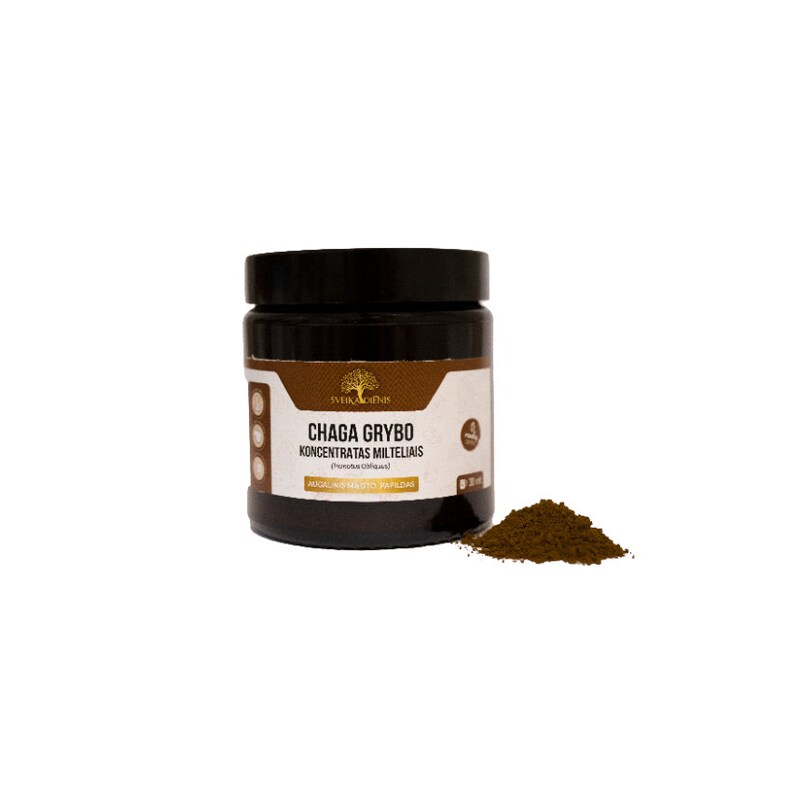 Chaga Mushroom - Etsy