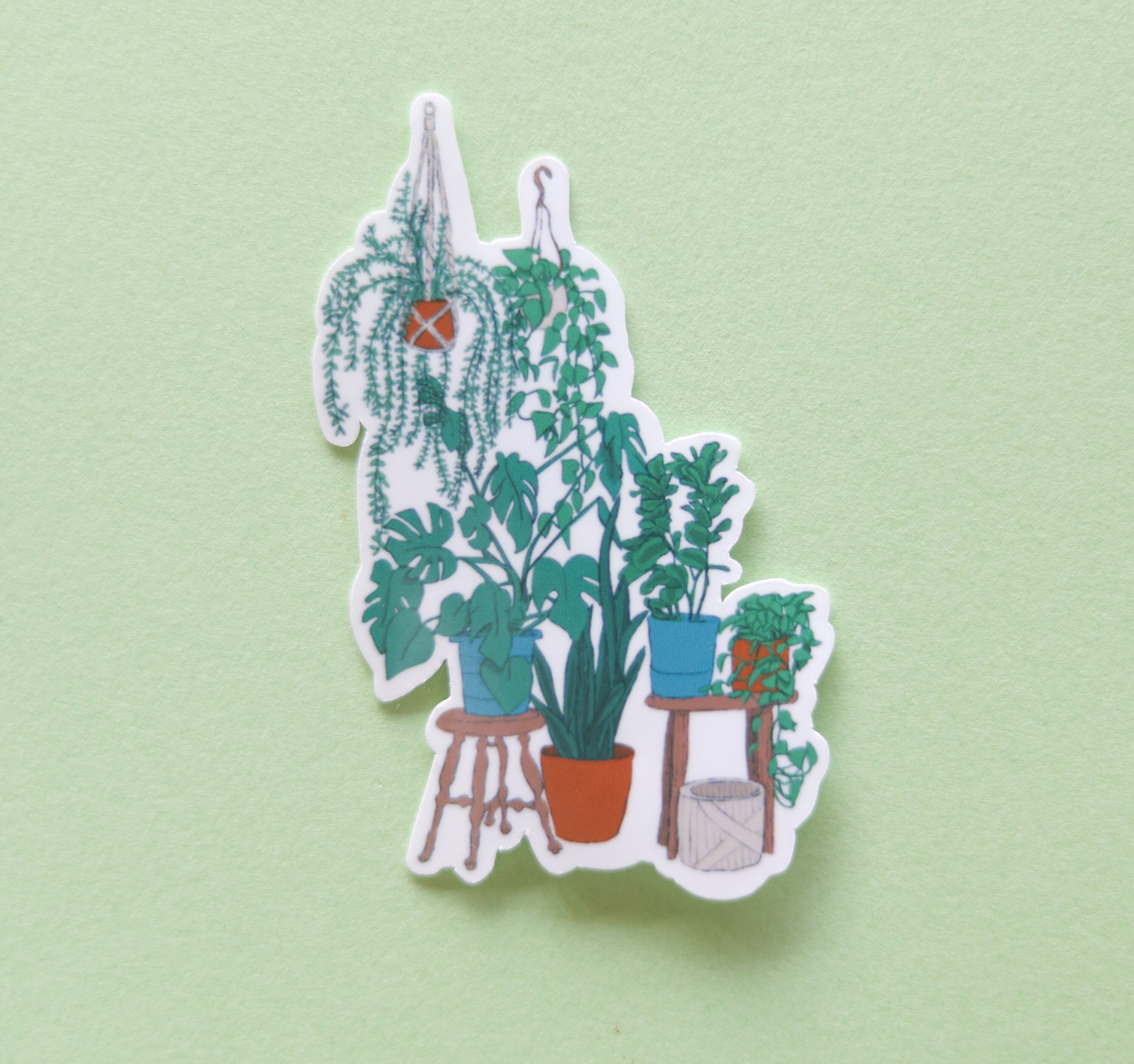 Hanging Plant Sticker Assorted Plants Sticker Potted Plants - Etsy