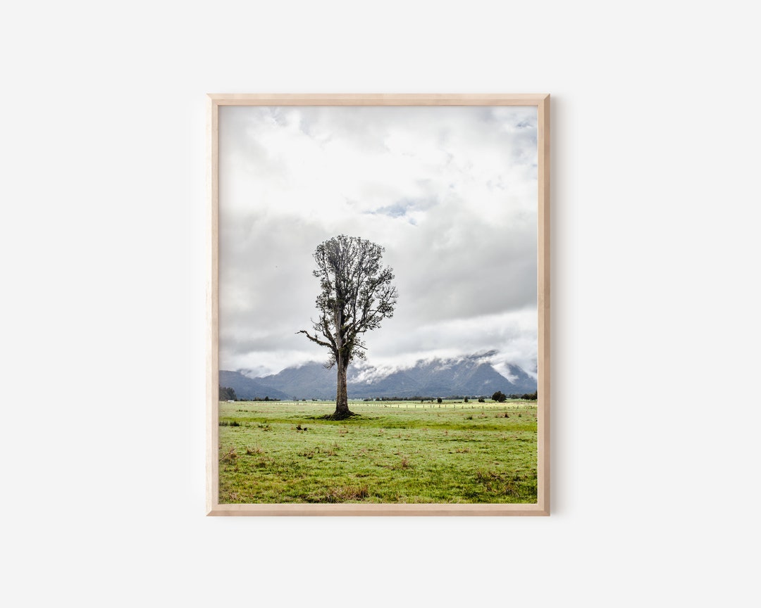 Lone Tree Photography Art Print, Mountain Scene Art Print, Printable ...