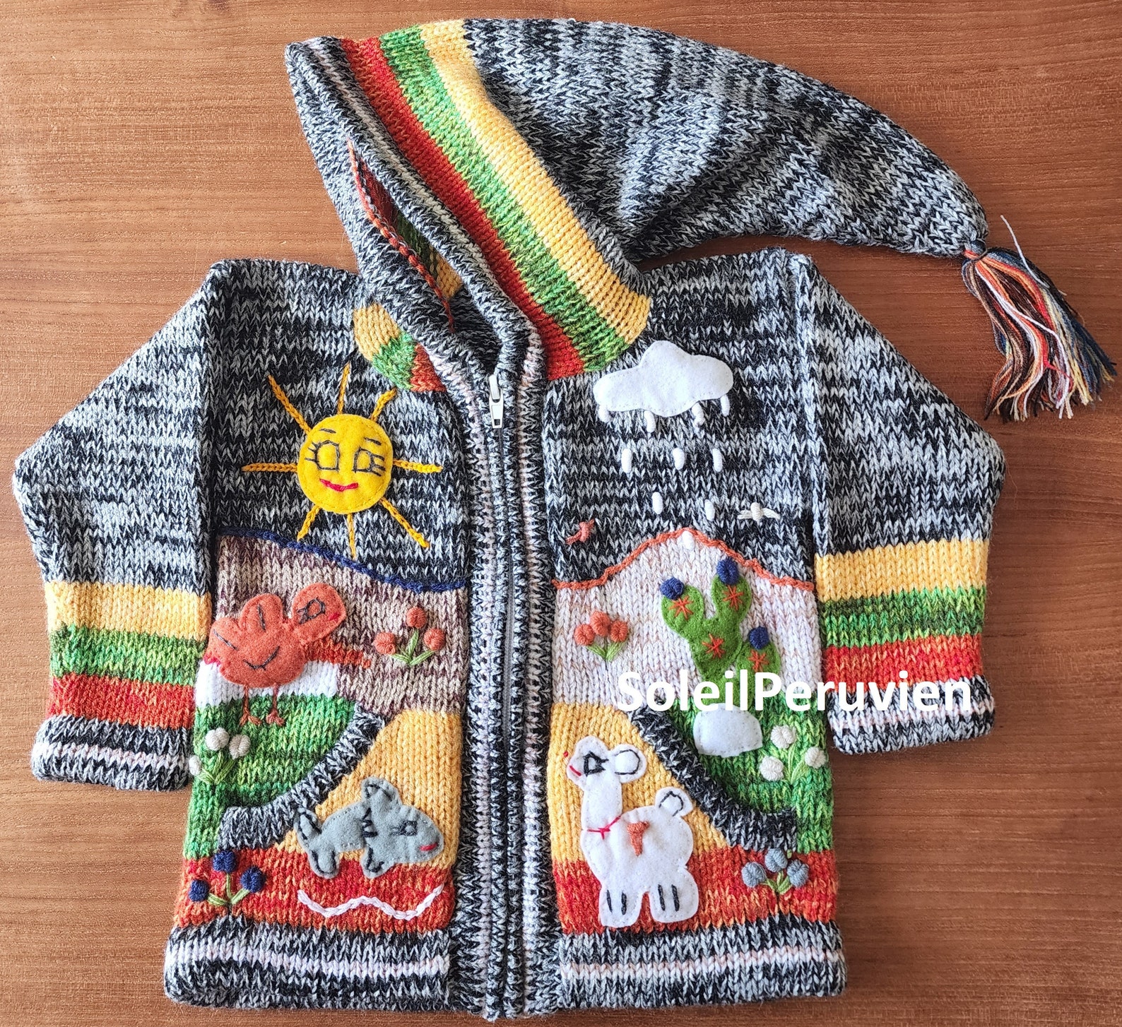 Rainbow Children Peruvian Hoodie Sweater Unique Peru Kids - Etsy