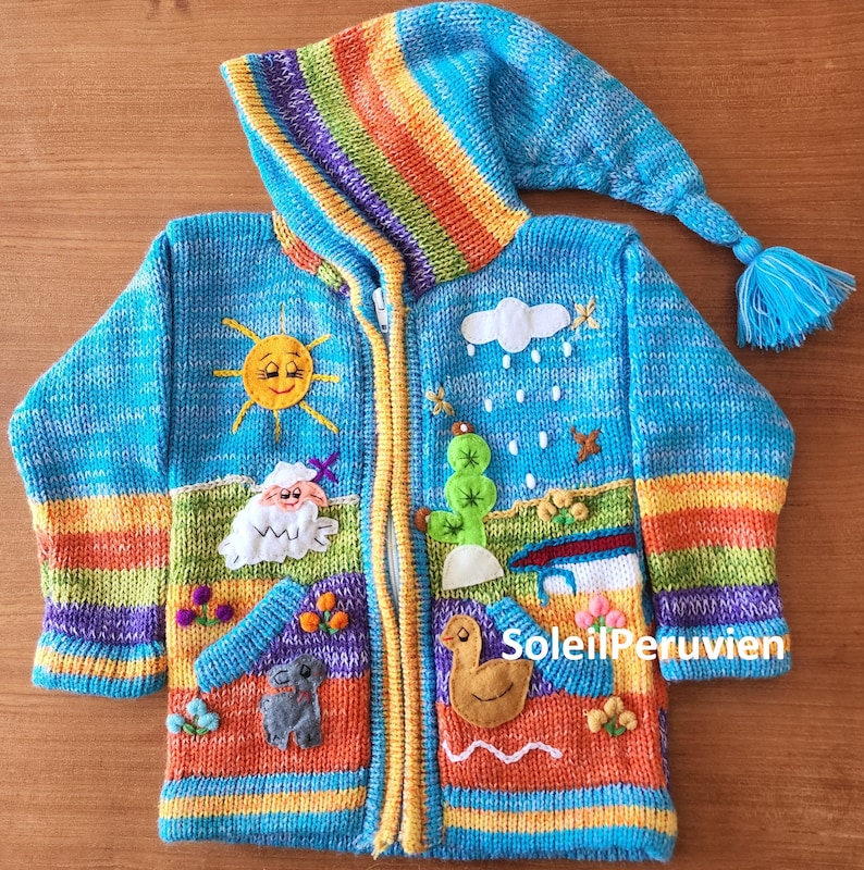 Rainbow Children Peruvian Hoodie Sweater Unique Peru Kids - Etsy