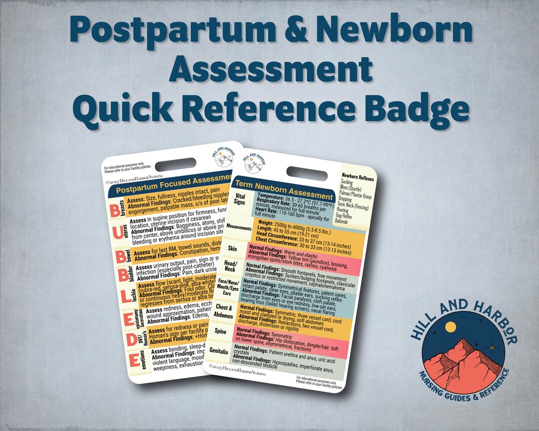 Postpartum & Newborn Assessment Badge Mother Baby Labor Nursing - Etsy