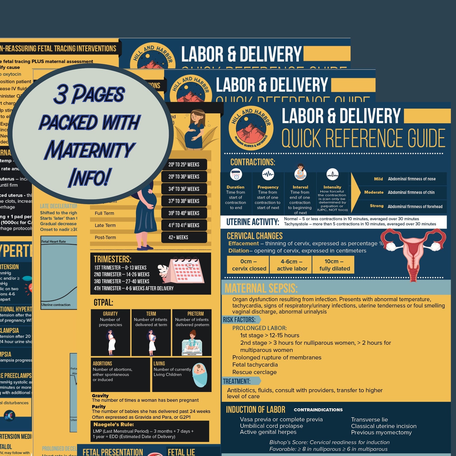 Labor & Delivery Nursing Quick Reference Guide - INSTANT DOWNLOAD - Etsy
