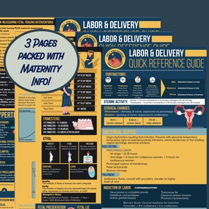 Labor & Delivery Nursing Quick Reference Guide - INSTANT DOWNLOAD - Etsy