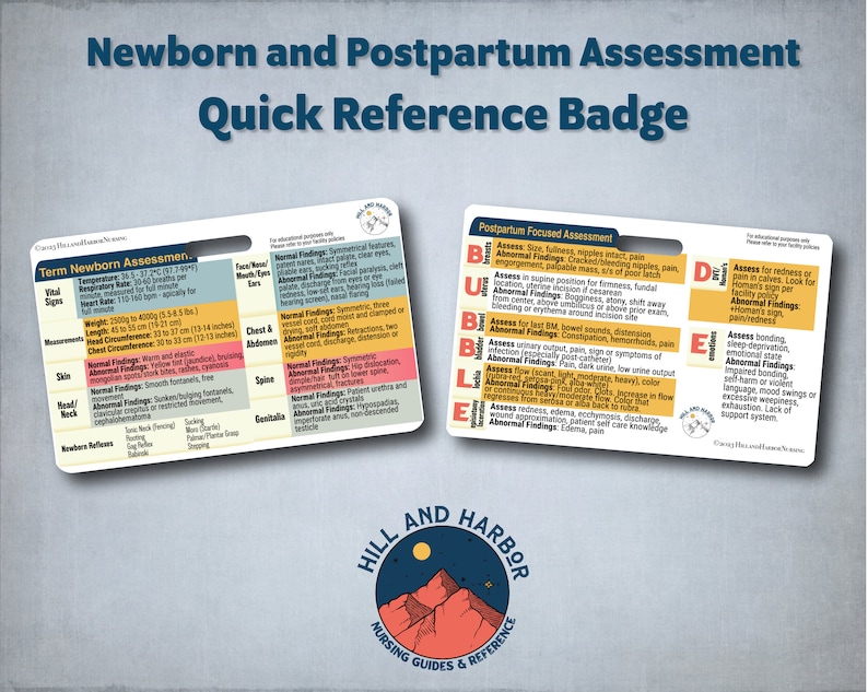Postpartum & Newborn Assessment Badge Mother Baby Labor - Etsy
