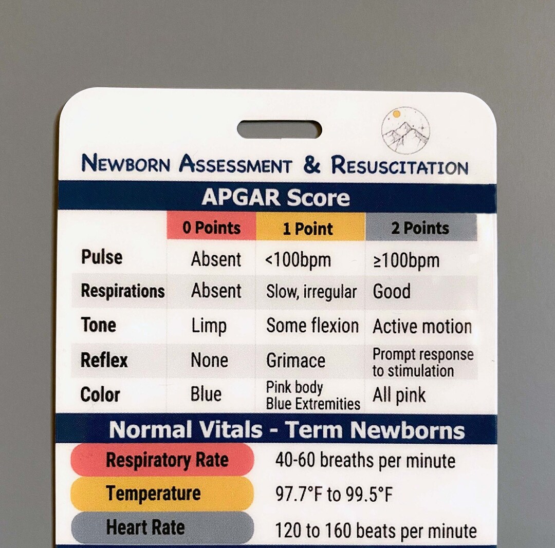Newborn Assessment & Resuscitation Card: NRP Quick Reference (3x4) - Etsy