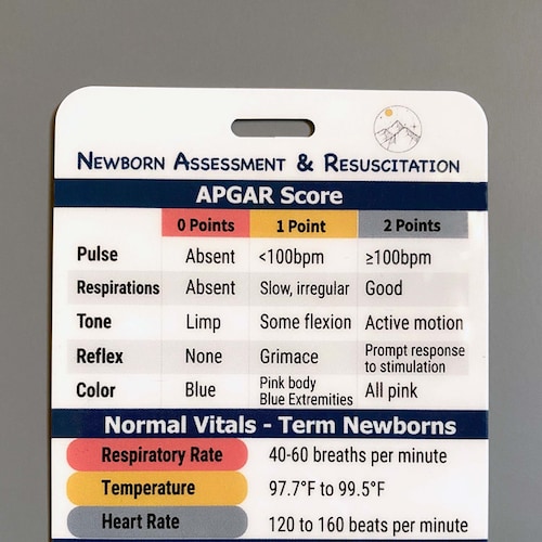 Newborn Assessment and Resuscitation NRP Labor and Delivery - Etsy