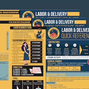 Labor & Delivery Nursing Quick Reference Guide - INSTANT DOWNLOAD - Etsy