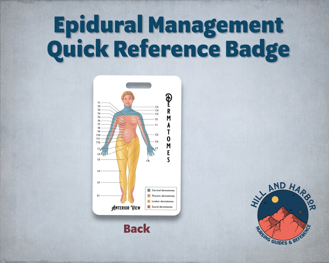 Epidural Monitoring Dermatomes Nursing Quick Reference Badge Cards 2x3 ...