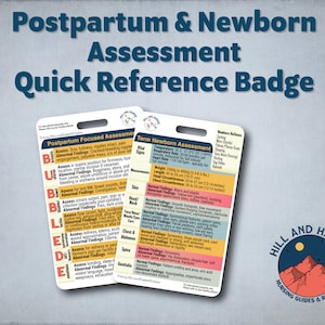 Maternity Nursing Reference Badges: Labor & Delivery, Postpartum ...