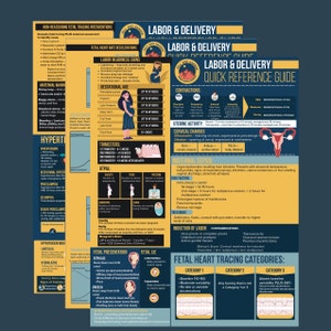 Labor & Delivery Nursing Quick Reference Guide - INSTANT DOWNLOAD - Etsy