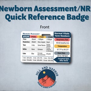 Newborn Assessment and Resuscitation NRP Labor and Delivery Nursing ...