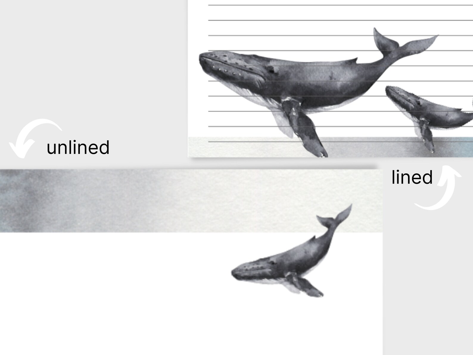 Printable Stationary, Whales, Note Paper, Letter Writing, Lined ...
