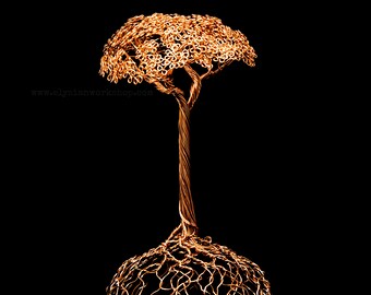 Large Copper Wire Bonsai Tree 7 Year Wedding Anniversary Engraved ...