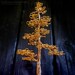 Wire Copper Cedar Tree Sculpture on Petrified Wood - Etsy