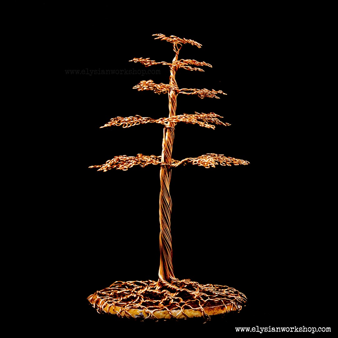 Copper Wire True North Redwood Cedar Tree on Agate - Etsy