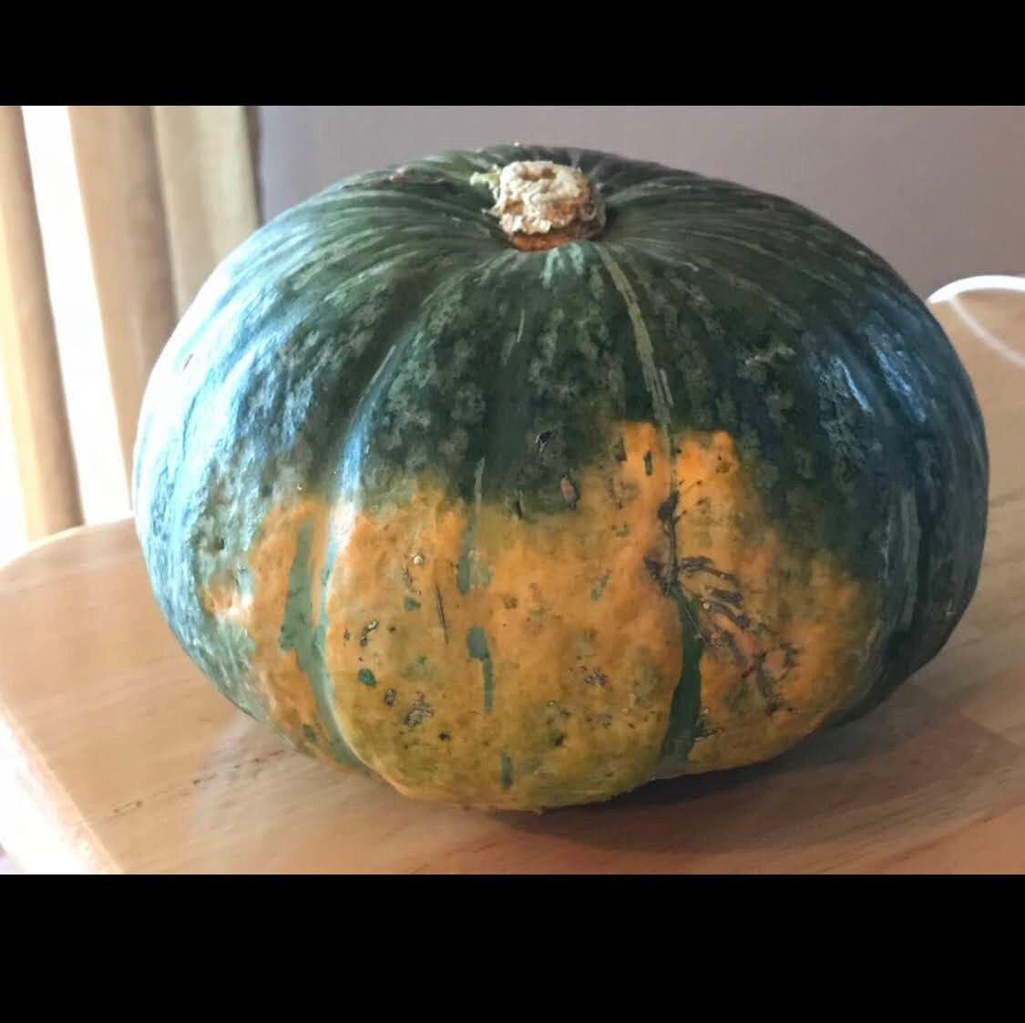 Kabocha Squash Seeds Kabocha Pumpkin/japanese Pumpkin/ - Etsy