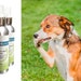 Scratch No More, Dog Anti-itch Spray, Natural, Handmade - Etsy