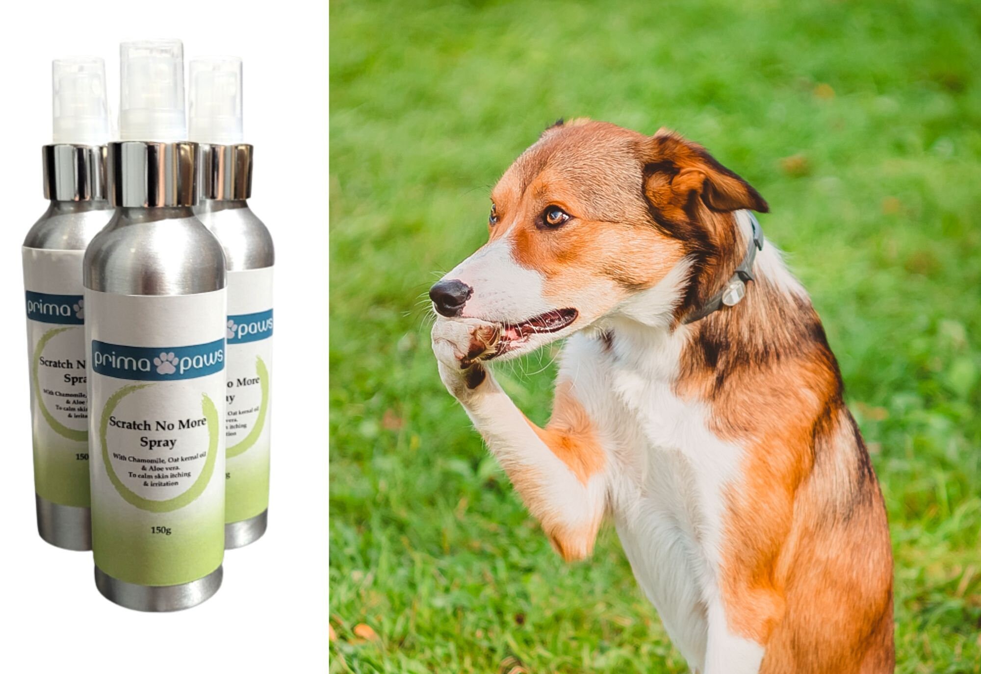 Scratch No More, Dog Anti-itch Spray, Natural, Handmade - Etsy