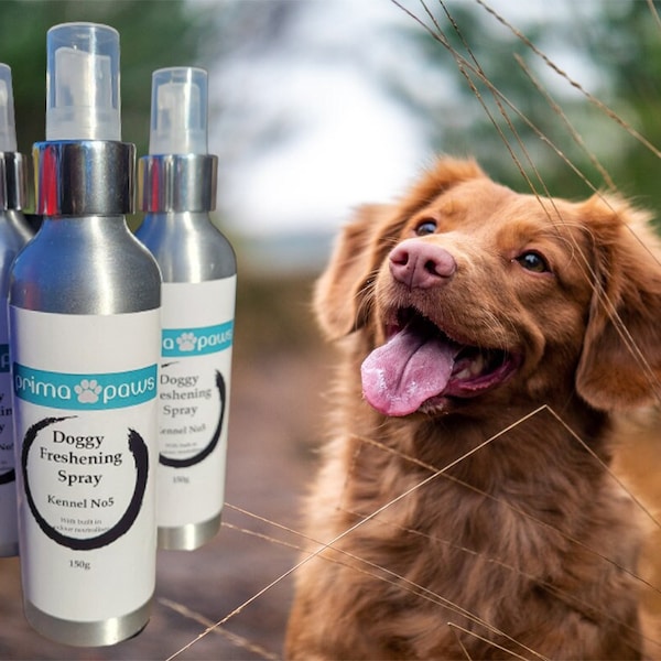 Dog Perfume - Etsy