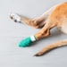Scratch No More, Dog Anti-itch Spray, Natural, Handmade - Etsy