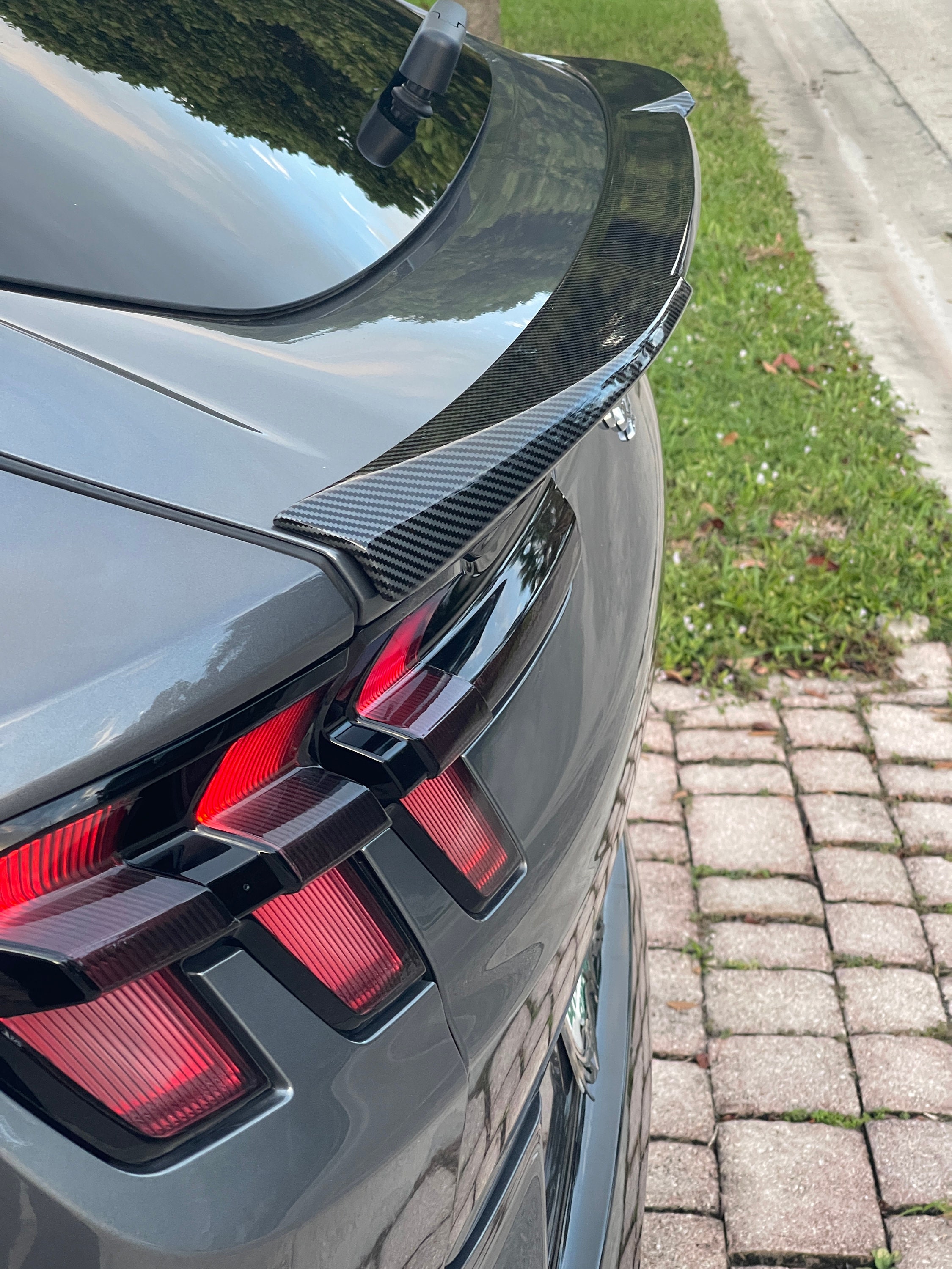 Mach E Custom Spoiler Bright Carbon Pattern - Etsy
