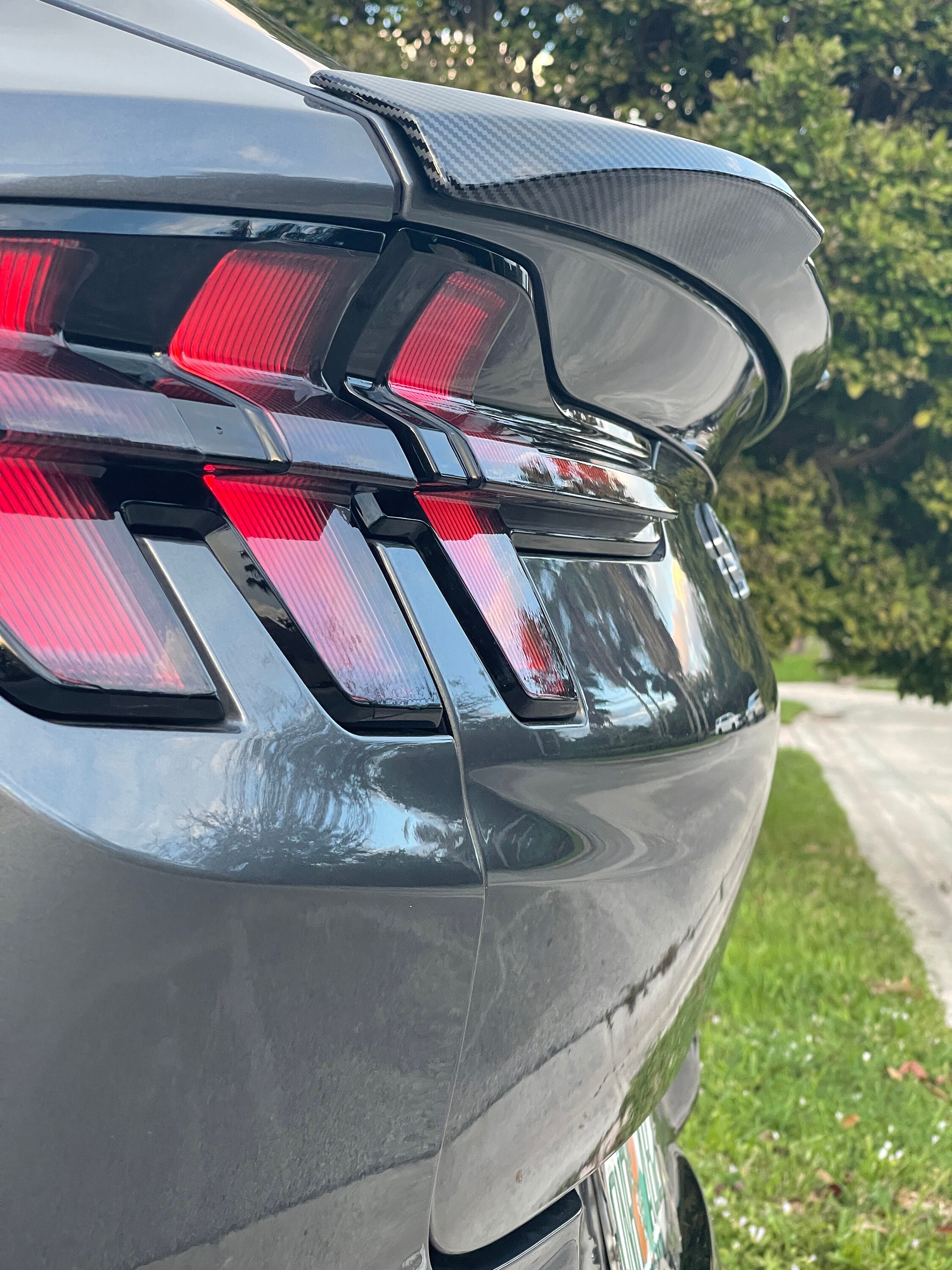 Mach E Custom Spoiler Bright Carbon Pattern - Etsy