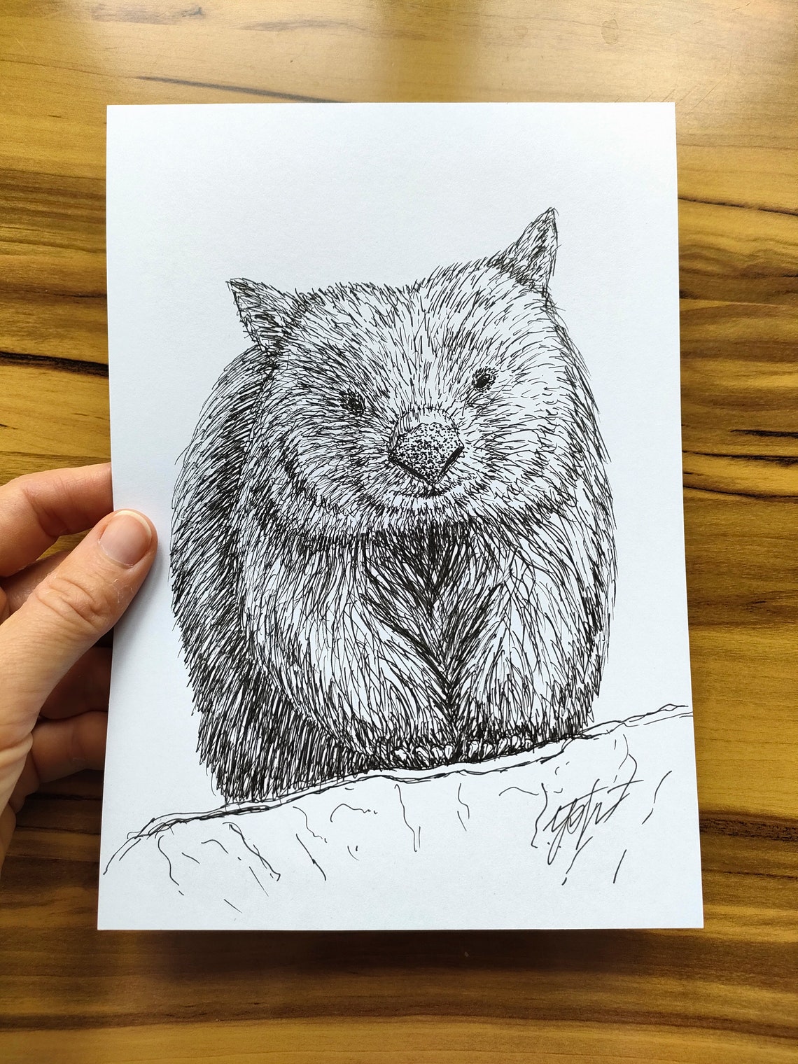 Wombat, Original Pen and Ink Drawing, Size 21x14.8 Cm (A5), Paper 200g ...