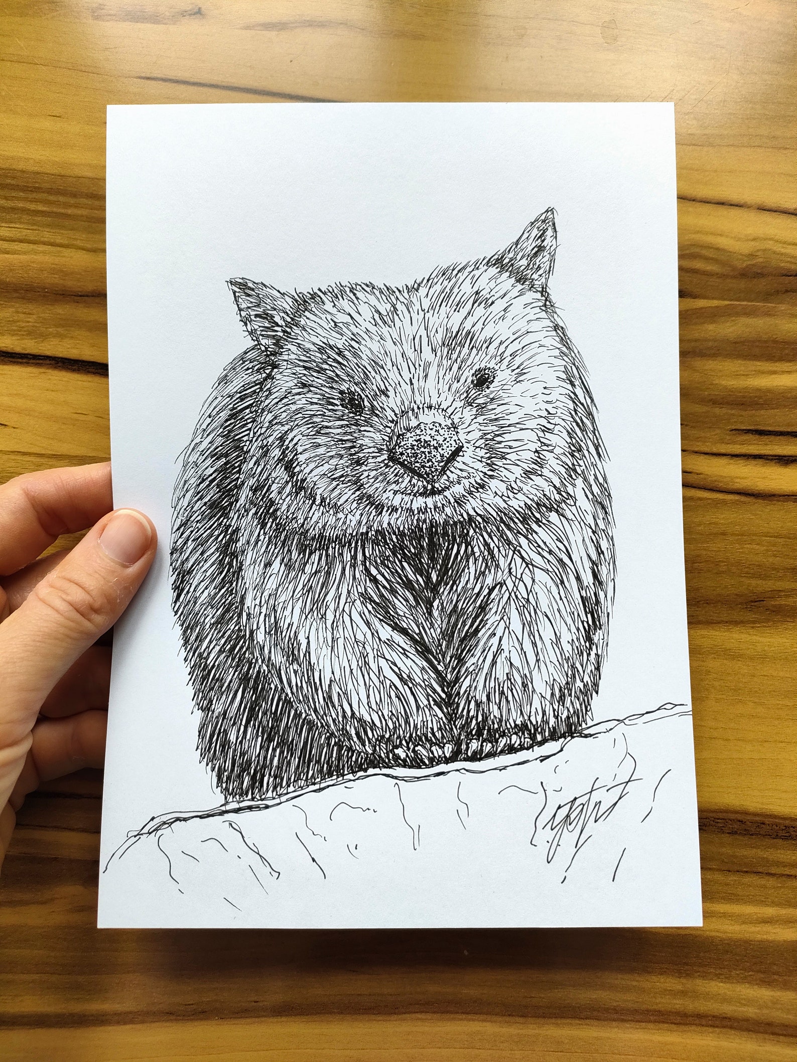 Wombat, Original Pen and Ink Drawing, Size 21x14.8 Cm (A5), Paper 200g ...
