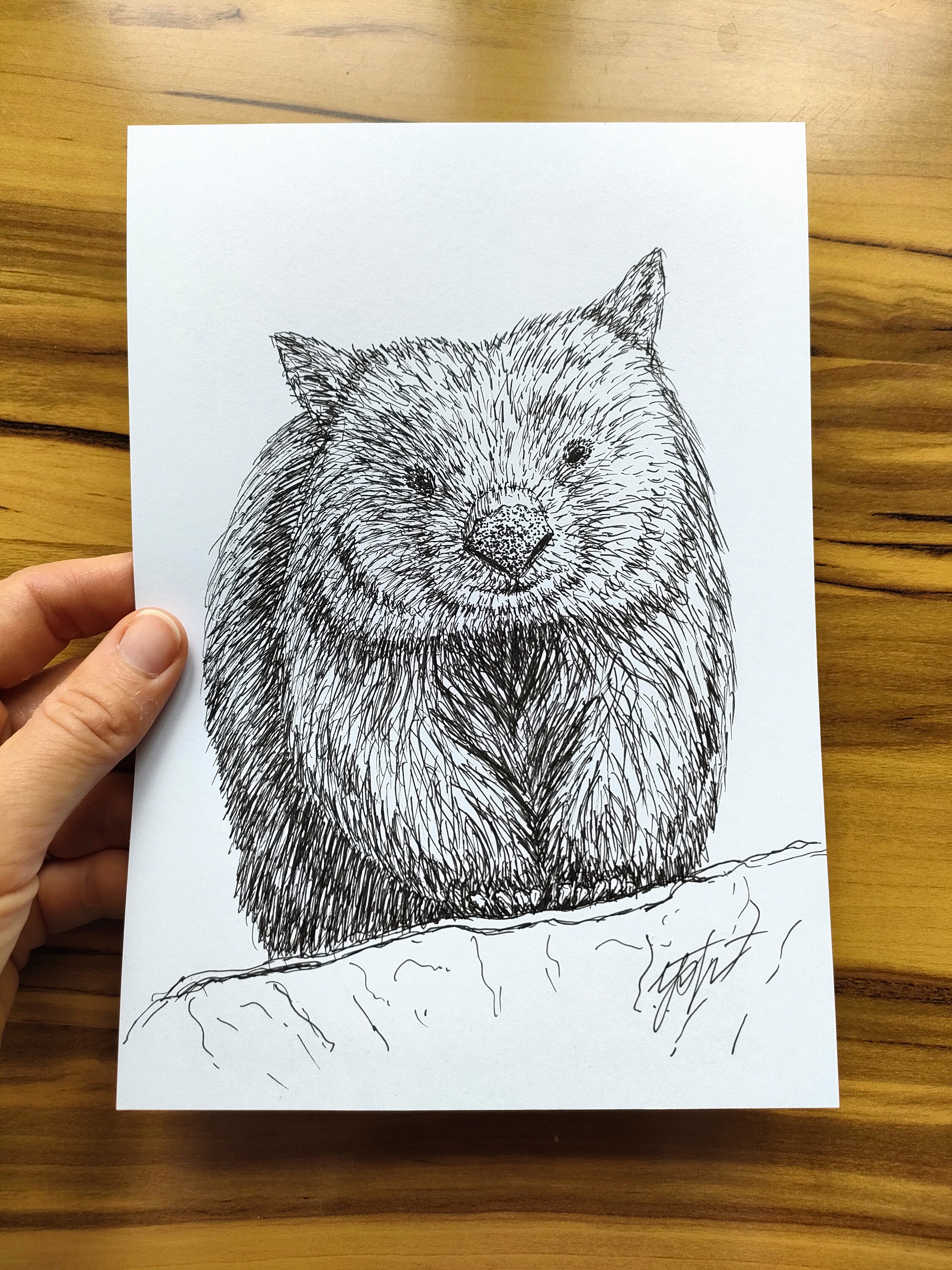 Wombat, Original Pen and Ink Drawing, Size 21x14.8 Cm (A5), Paper 200g ...