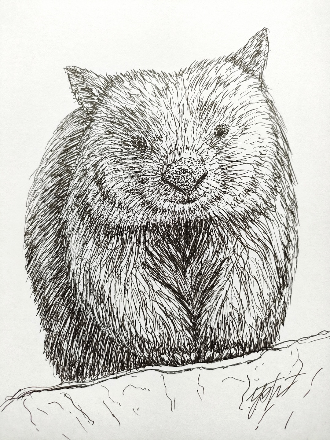 Wombat, Original Pen and Ink Drawing, Size 21x14.8 Cm A5, Paper 200g - Etsy