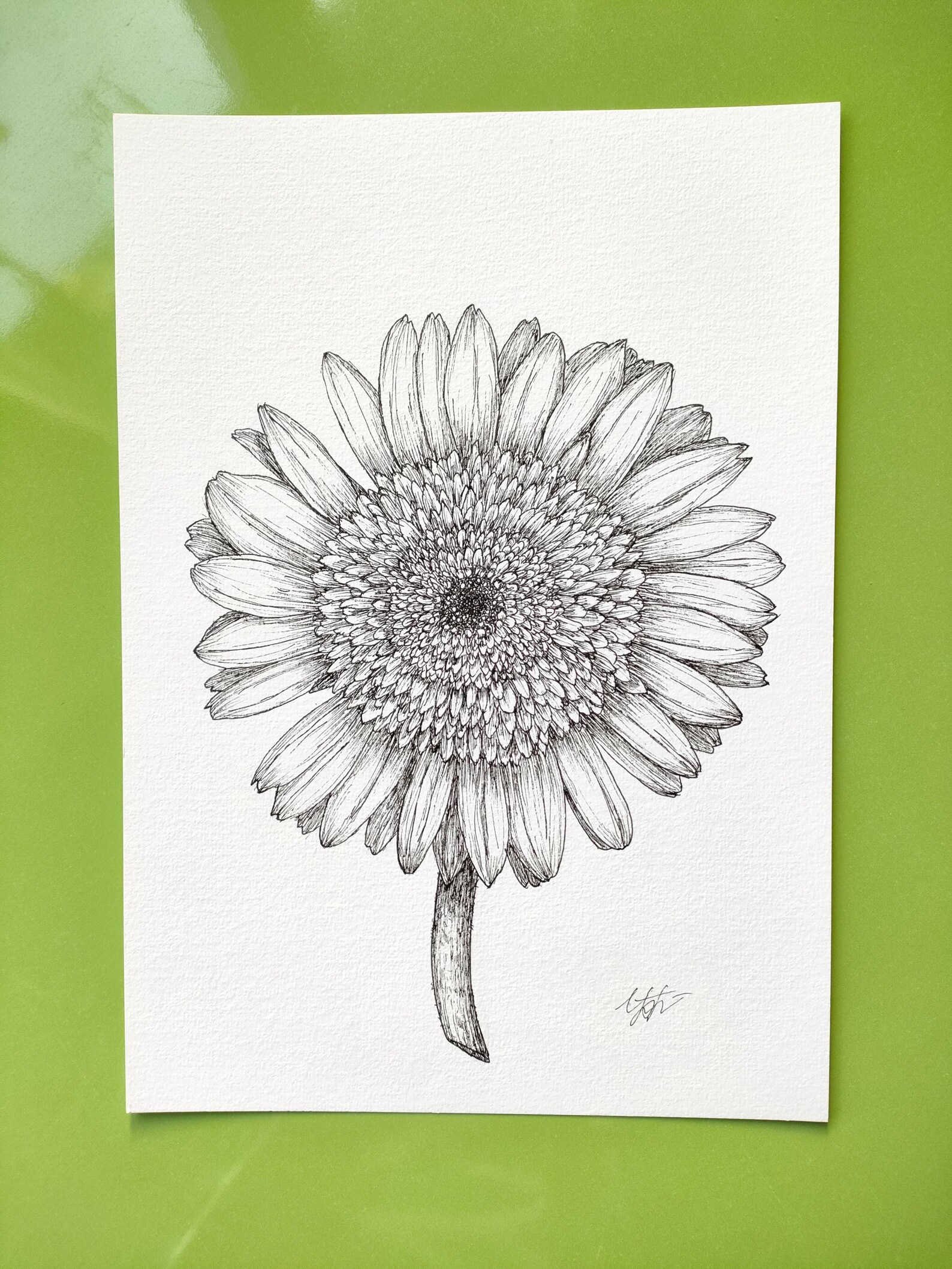 Gerbera, Original Pen and Ink Drawing, Size 29.7x21 Cm (A4), Watercolor ...