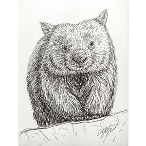 Wombat, Original Pen and Ink Drawing, Size 21x14.8 Cm (A5), Paper 200g ...
